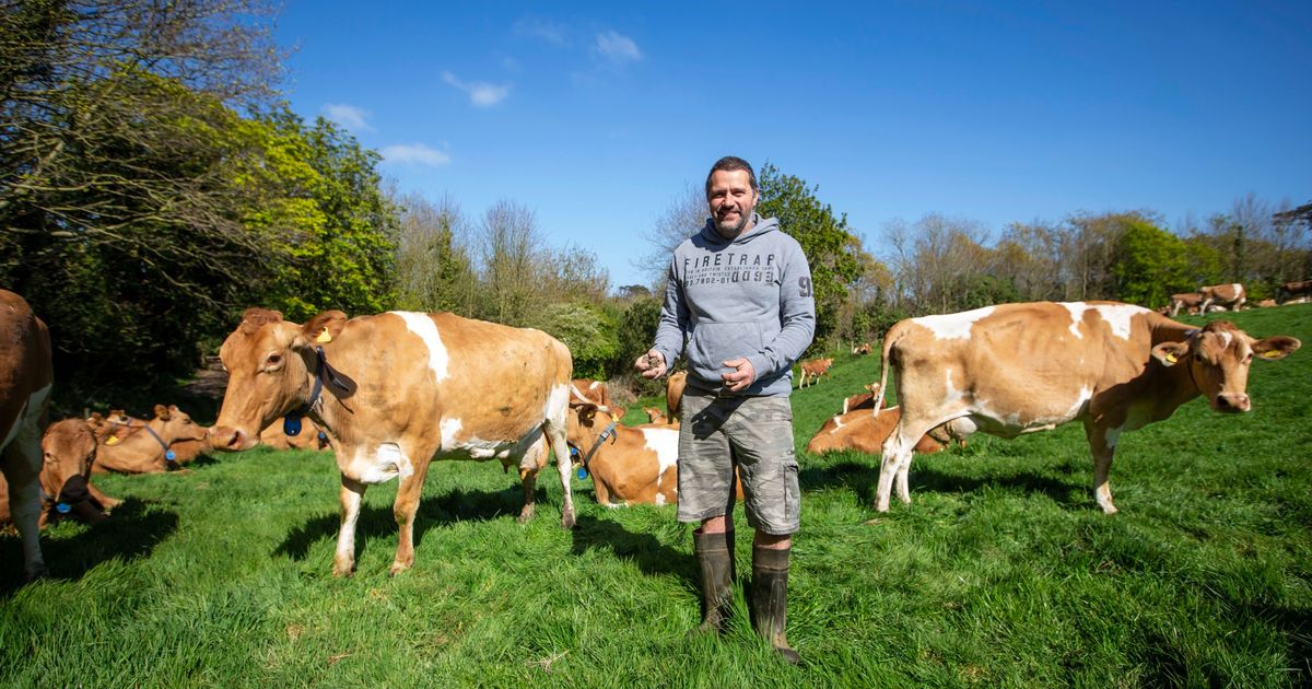 Farmers concerned about island’s drought