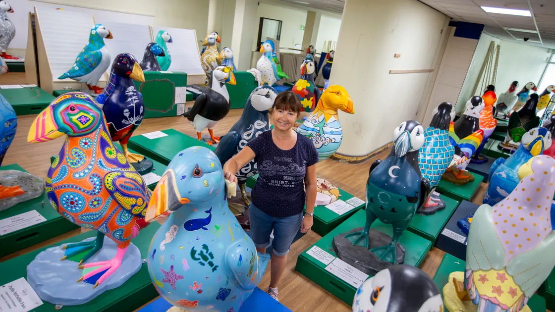 Puffin parade auction to be held tonight