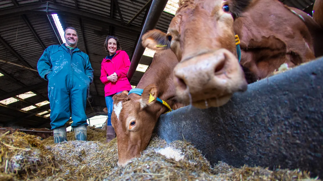 Dairy farmers encouraged by more States support