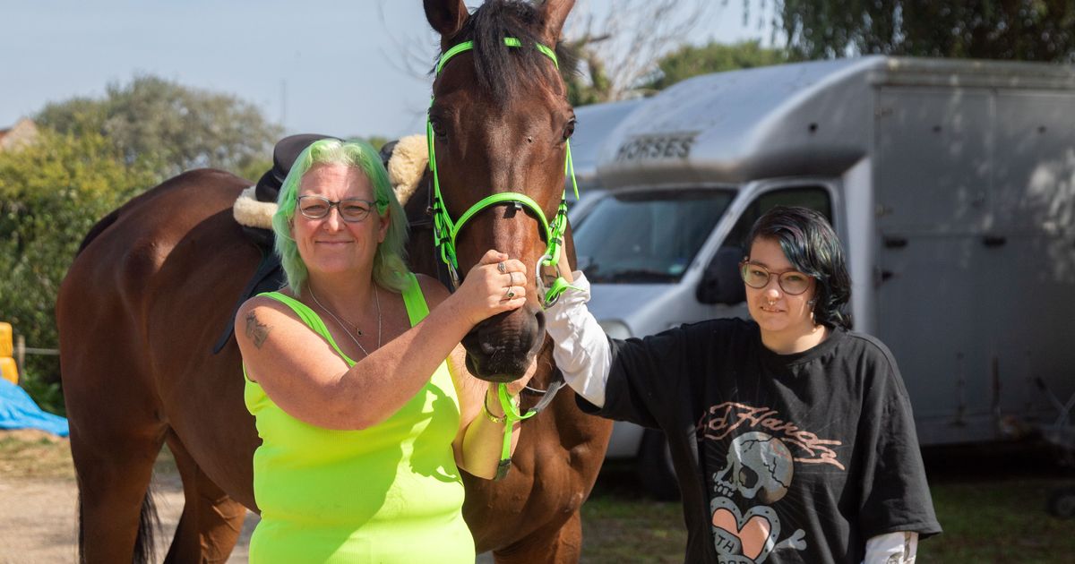 Horse bolted at Vazon after impatient road user sped off