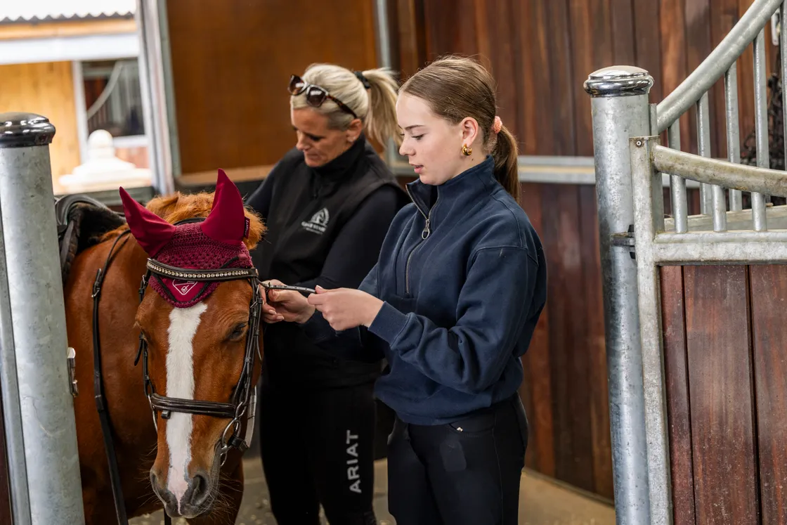 How Fort Road stables became site’s saving grace