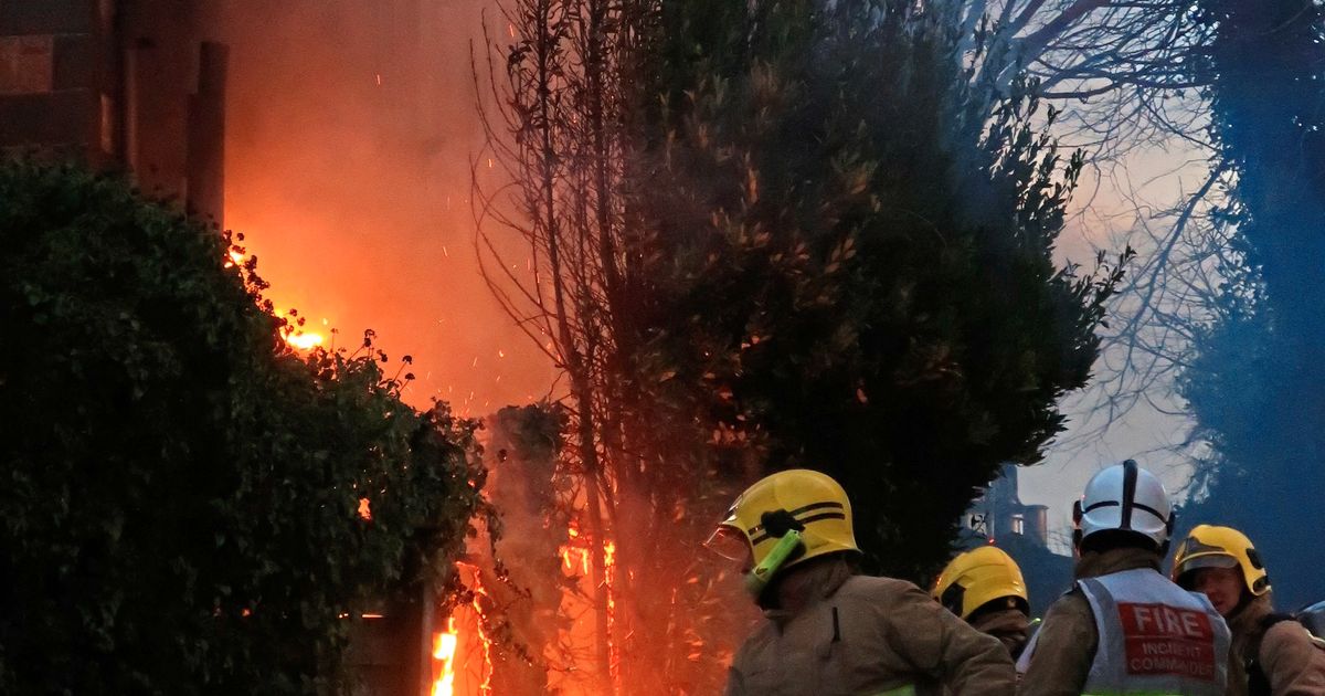 Discarded cigarette suspected fire cause