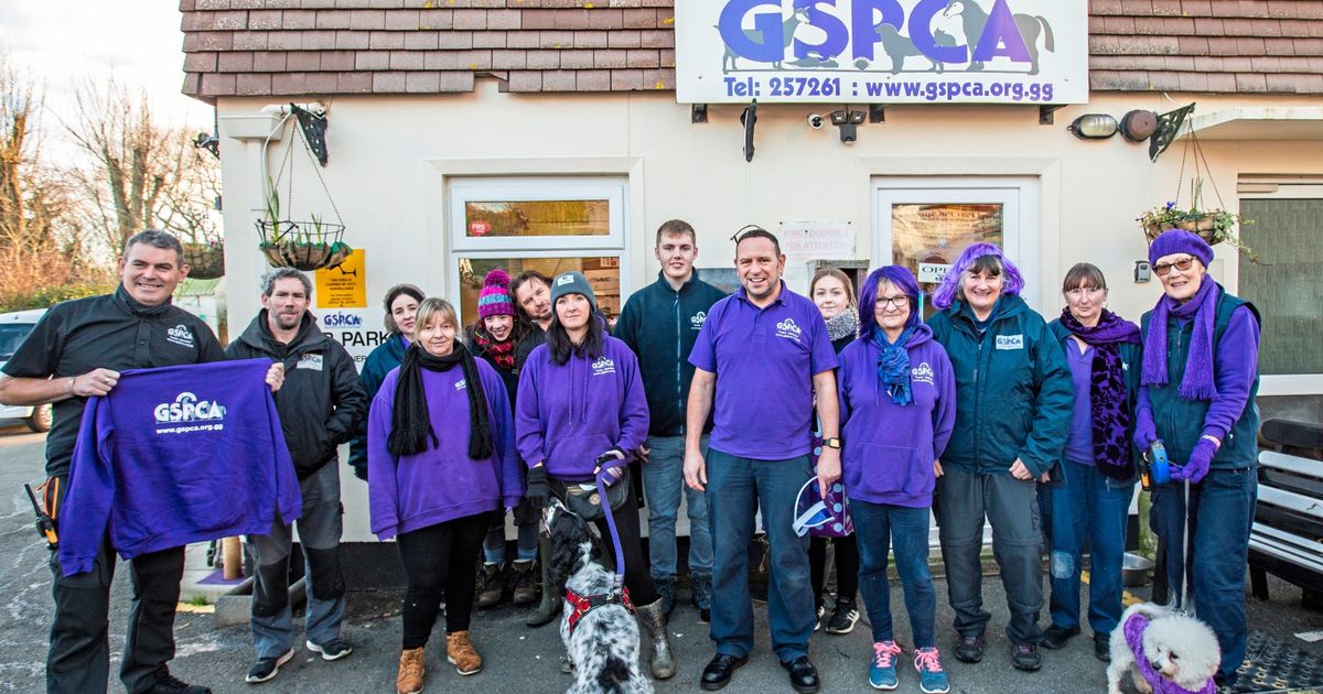 Purple Week will celebrate 150 years of animal shelter