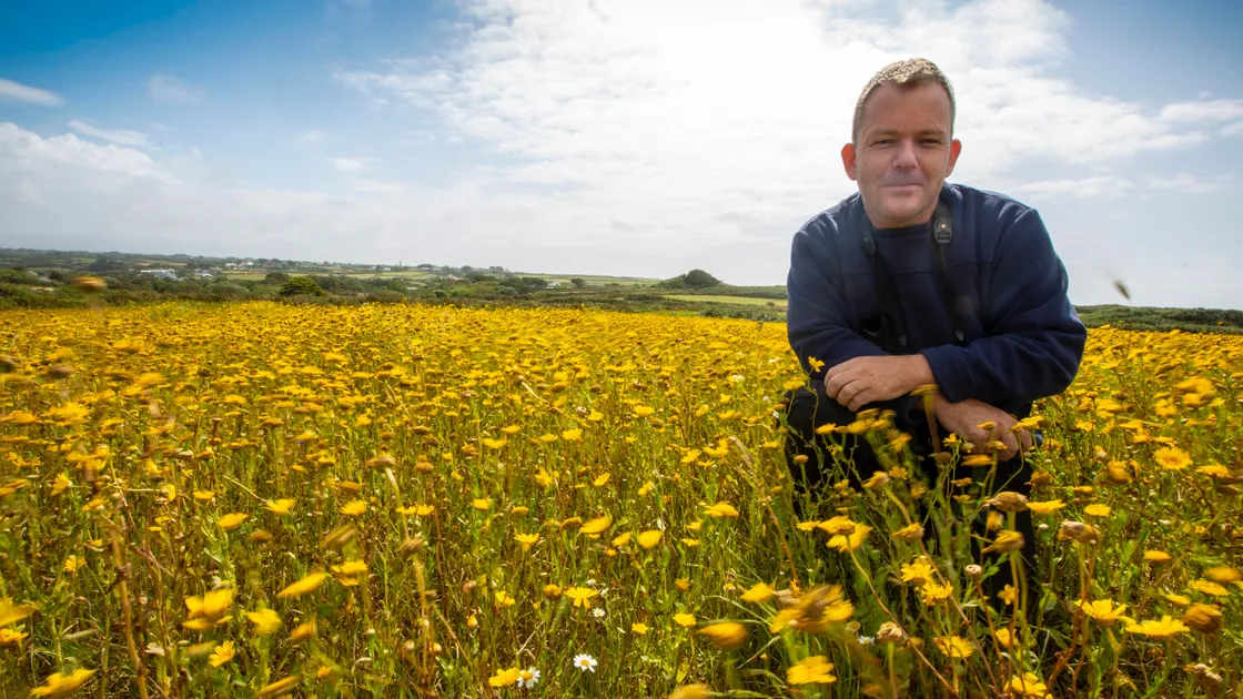 Hedgecutting guidance seeks to protect island’s wildlife