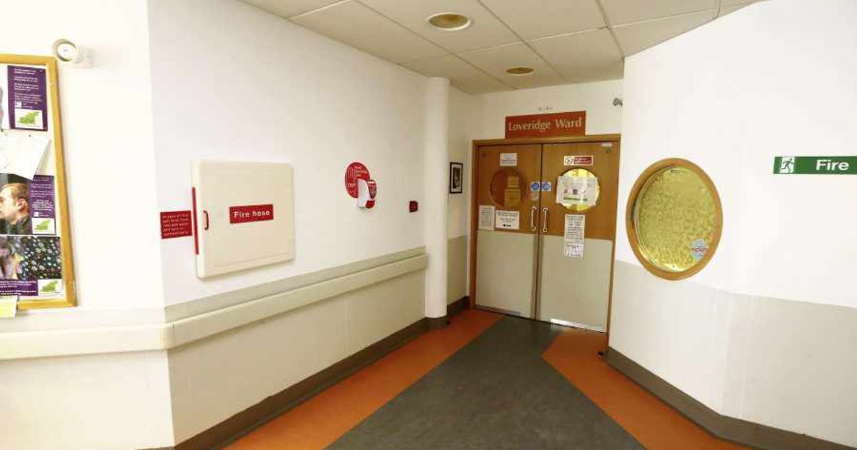 HSSD releases action plan