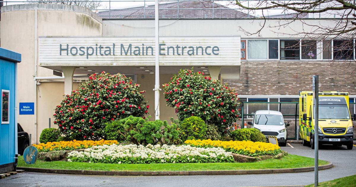 Mike Read: Transforming healthcare