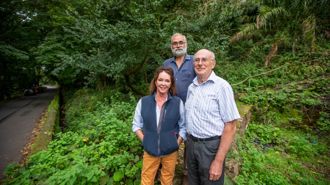 National Trust set to put woodland trail in Talbot Valley