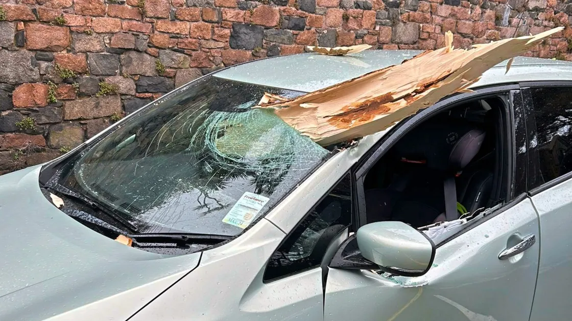 Tree branch smashes into car windscreen during gale force winds