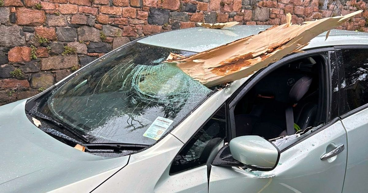 Tree branch smashes into car windscreen during gale force winds