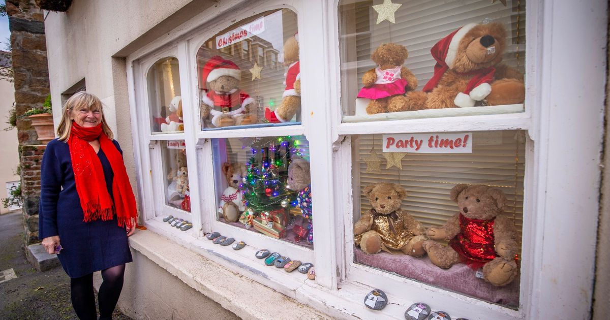Teddy bear window brings some festive cheer to Clifton