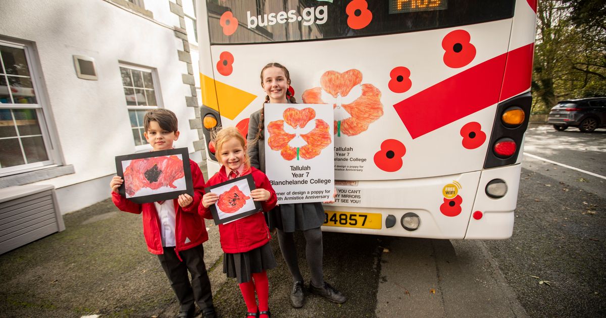 Winning poppy design displayed on poppy bus