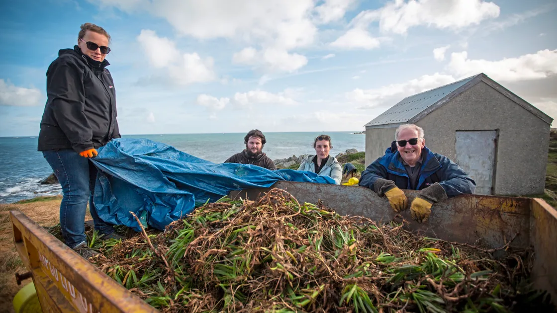 Strategy for Nature’s first year is deemed successful
