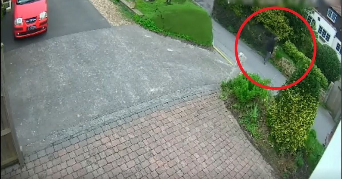 WATCH: CCTV footage of missing person released by Police