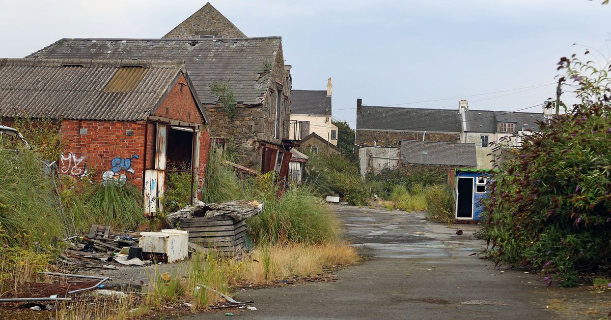 ‘Let’s stop house building and force the use of Leale’s Yard’