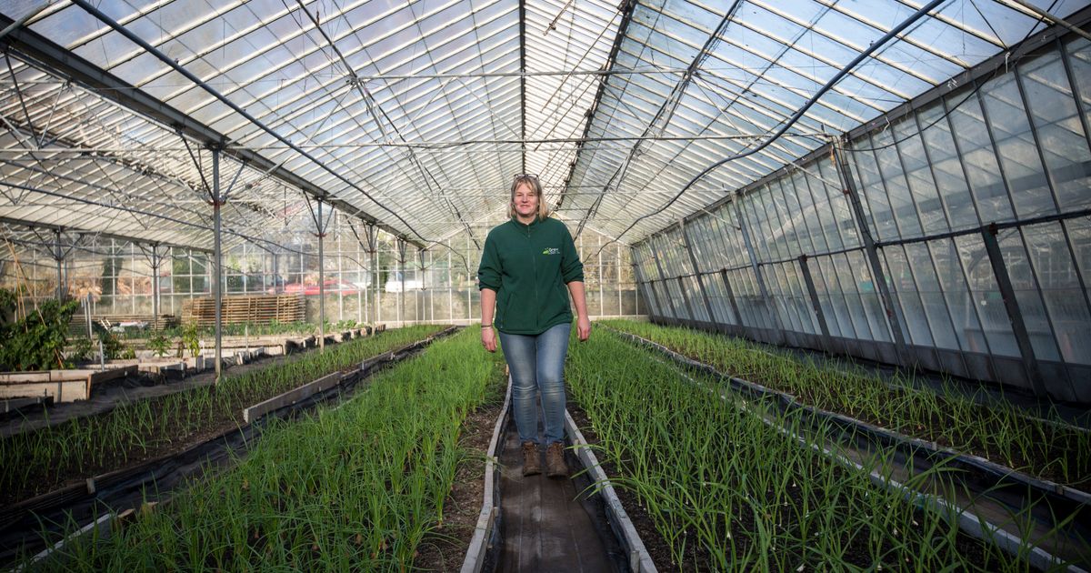 Grow Ltd wins £2,500 top prize at Conservation Awards