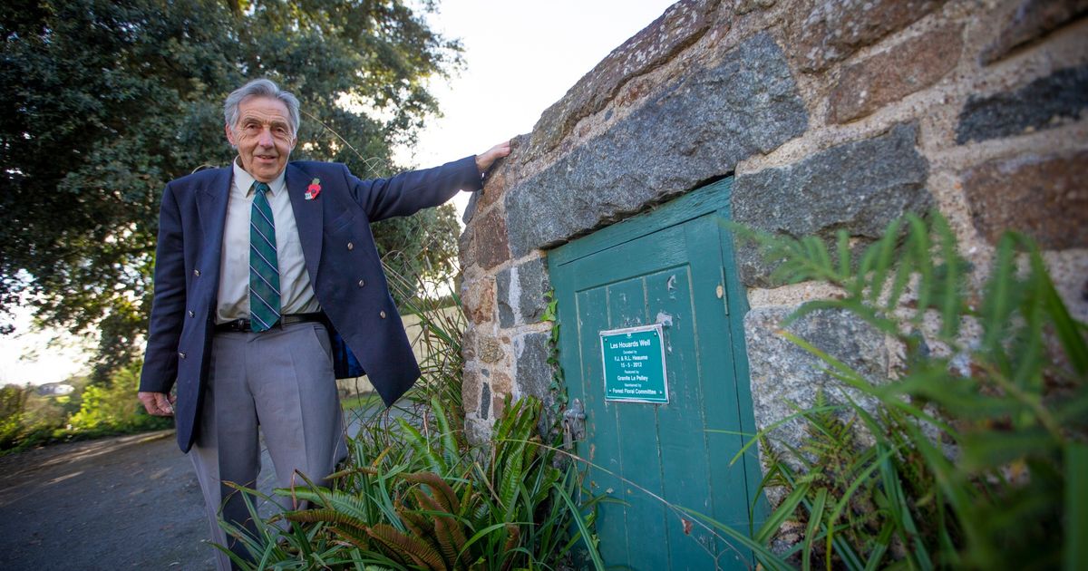 Forest dean steps down, but hints at a comeback