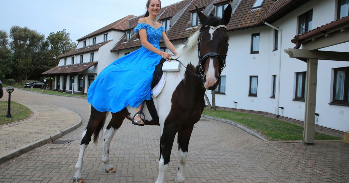 ‘Felt like princess’ riding horse to prom