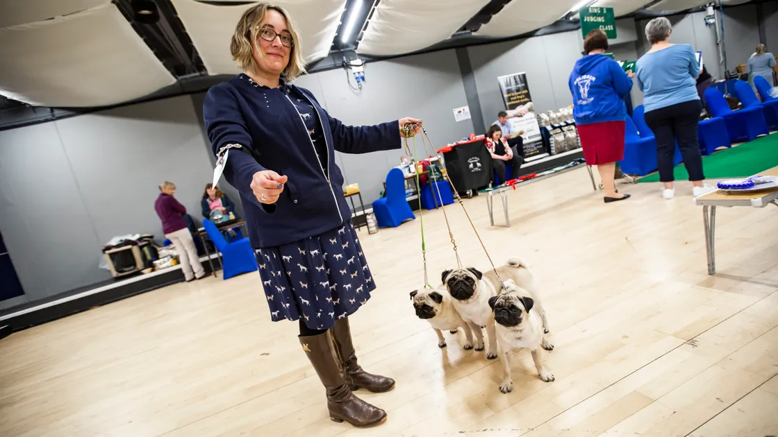 Visiting judges impressed by high quality of canines