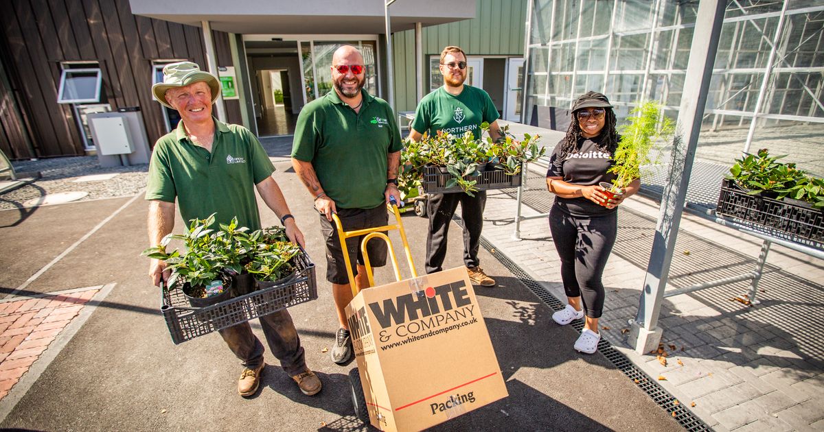 Grow Ltd starts to move back ‘home’