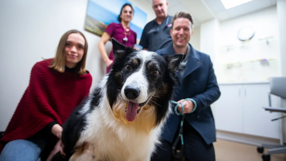 Finn is back on his paws after first hip replacement on-island