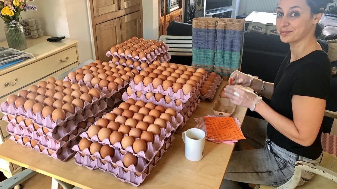 Switching events to eggs cracked income problem