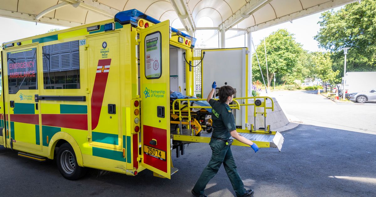 Year’s ambulance subscription ‘costs a few months of Netflix’