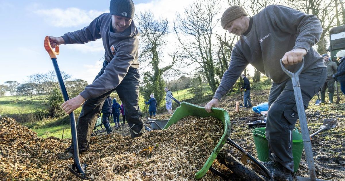 Trees for Life volunteers get stuck in at Les Picques